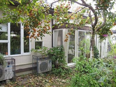 レンタル　ふぁーちゃの写真12