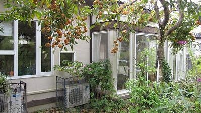 レンタル ふぁーちゃの写真12