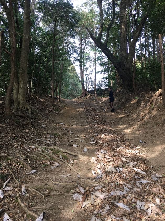 【豊田市・名古屋】築160年のステキな古民家。コスプレ撮影会・パーティなどのイベント等に！の写真43