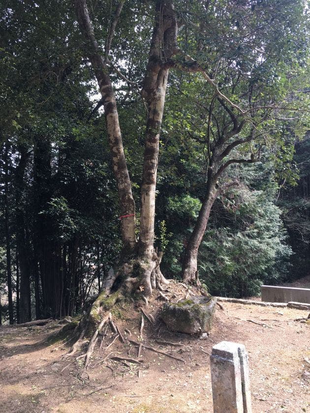 【豊田市・名古屋】築160年のステキな古民家。コスプレ撮影会・パーティなどのイベント等に！の写真54