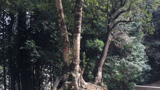 【豊田市・名古屋】築160年のステキな古民家。コスプレ撮影会・パーティなどのイベント等に!の写真54