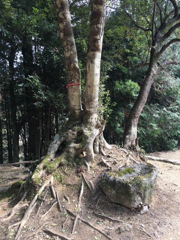 【豊田市・名古屋】築160年のステキな古民家。コスプレ撮影会・パーティなどのイベント等に！の写真55
