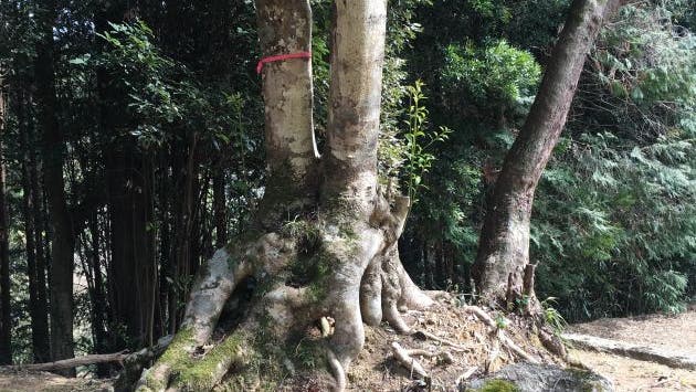 【豊田市・名古屋】築160年のステキな古民家。コスプレ撮影会・パーティなどのイベント等に!の写真55