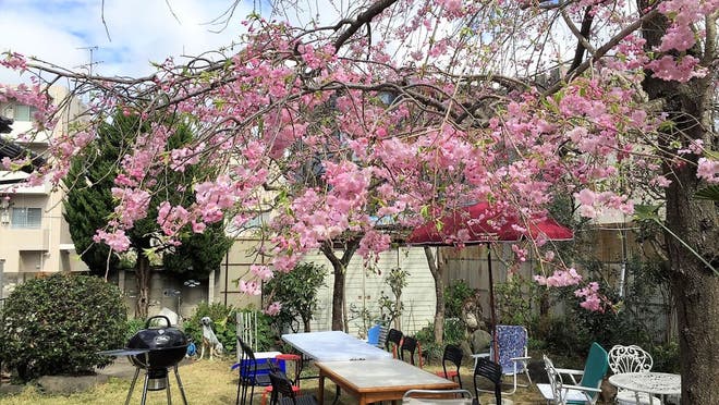 一軒家の洋室と和室を広々貸しきれる ハウススタジオとして好評(OPでキッチン使用可)の写真2