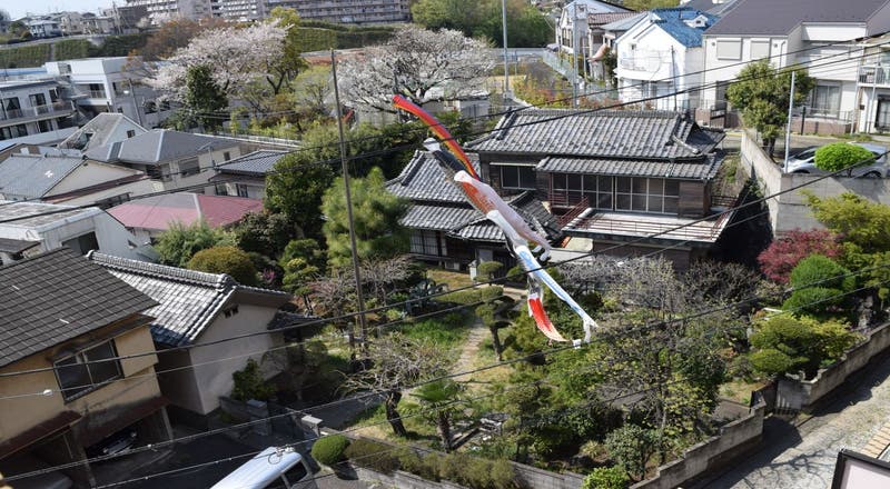 若木の家【築約70年の昭和レトロな古民家です】