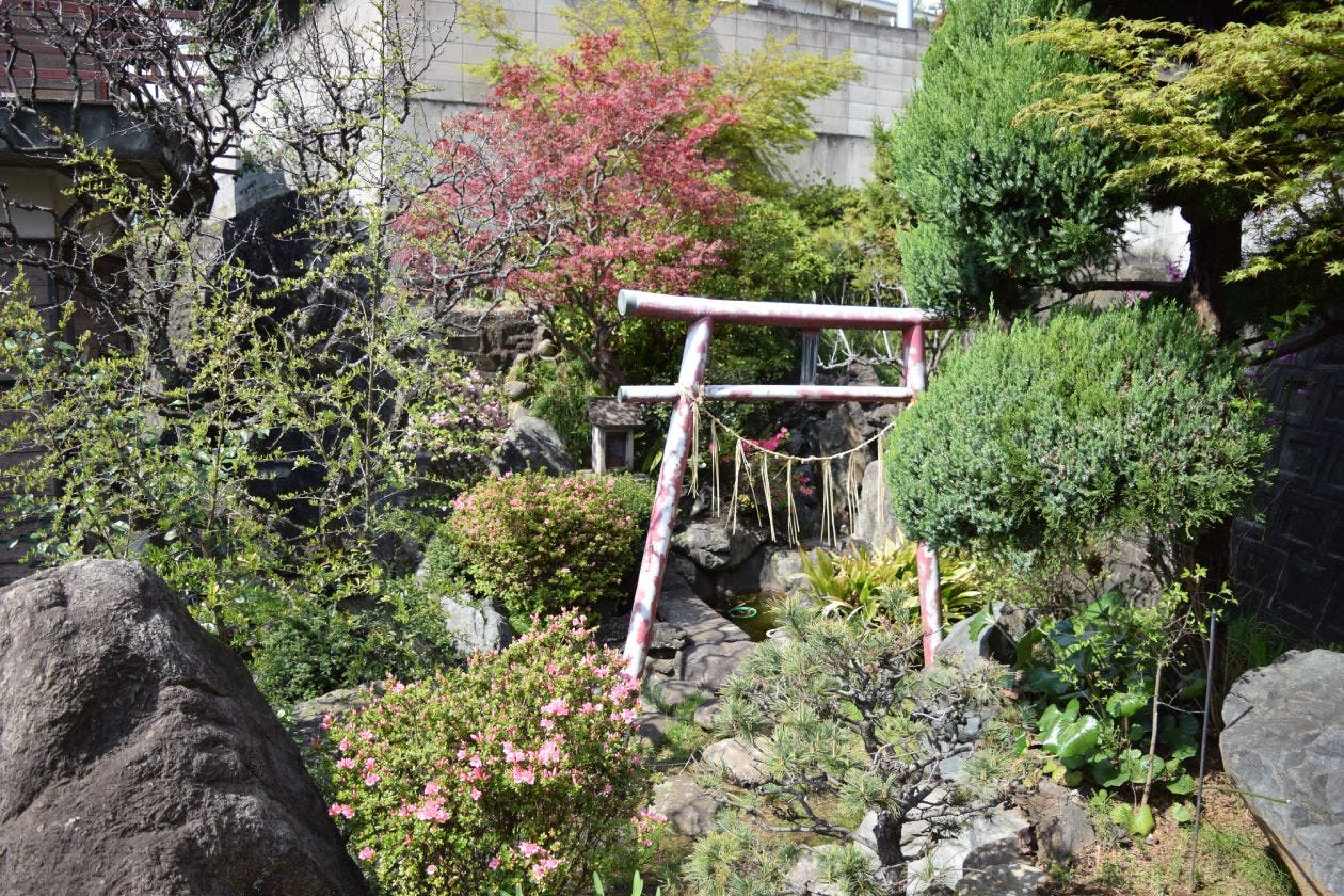 若木の家【築約70年の昭和レトロな古民家です】の写真6