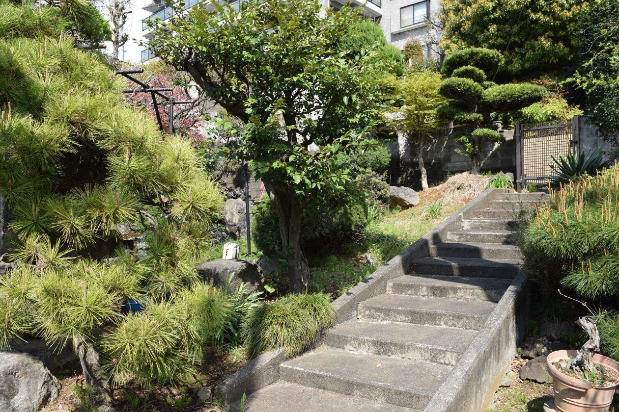 若木の家【築約70年の昭和レトロな古民家です】の写真7