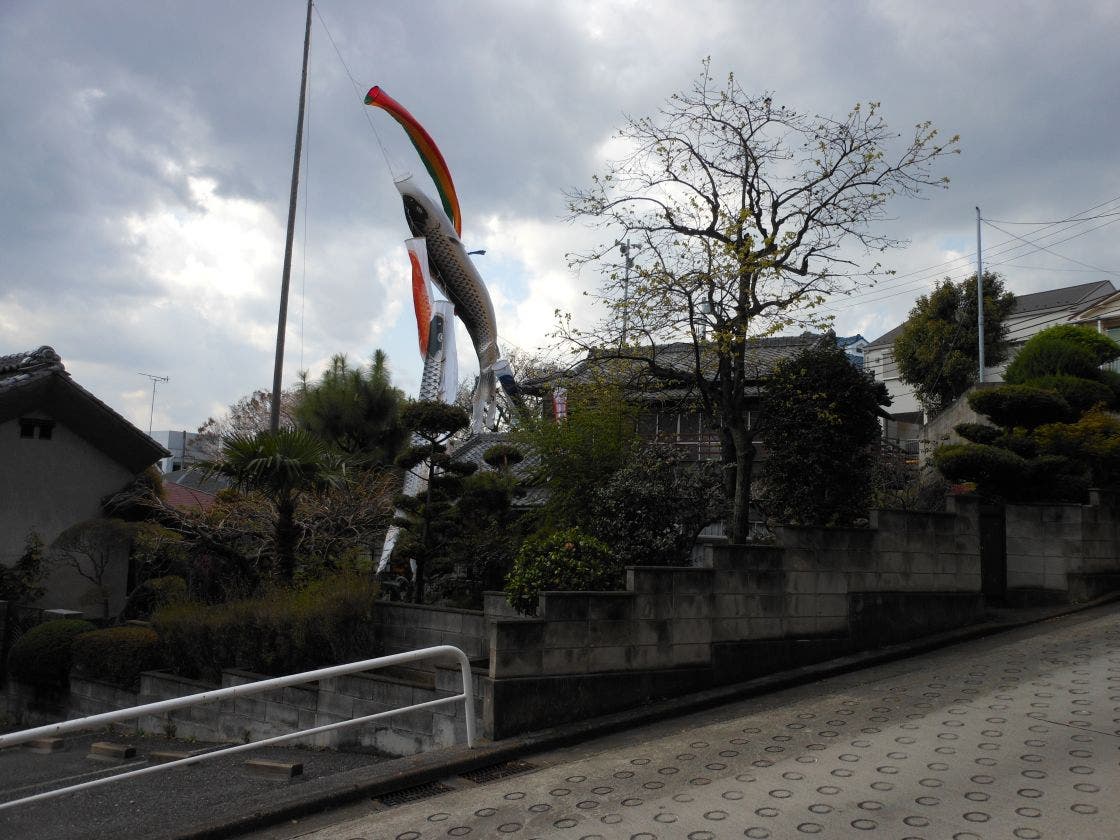 若木の家【築約70年の昭和レトロな古民家です】の写真29