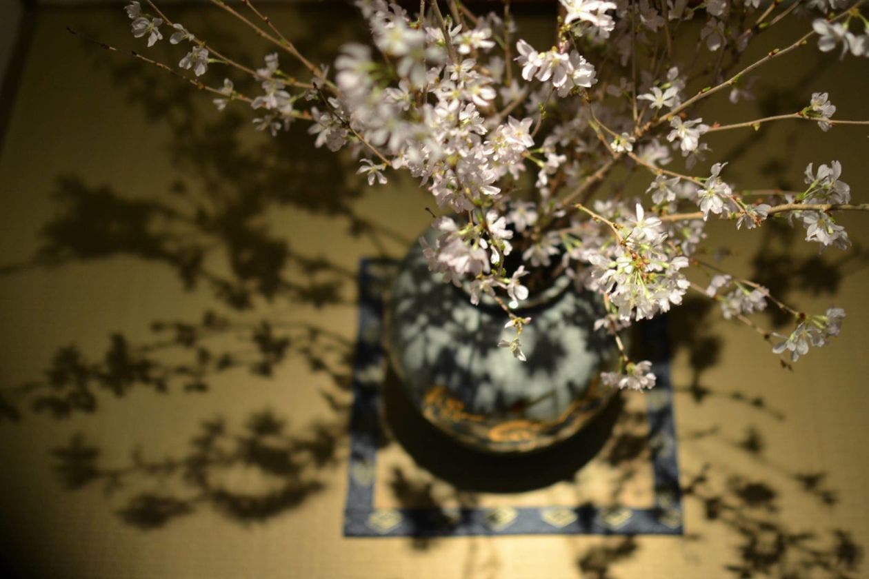 季節を感じる 小石川大正住宅【文京区 春日駅徒歩3分、東京ドームにも近い】の写真23