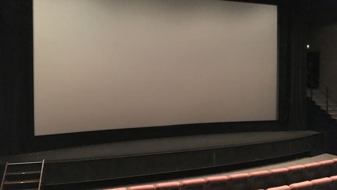 【お台場 315席】映画館で、イベント・会社説明会・株主総会・講演会の企画はいかがですか?の写真2