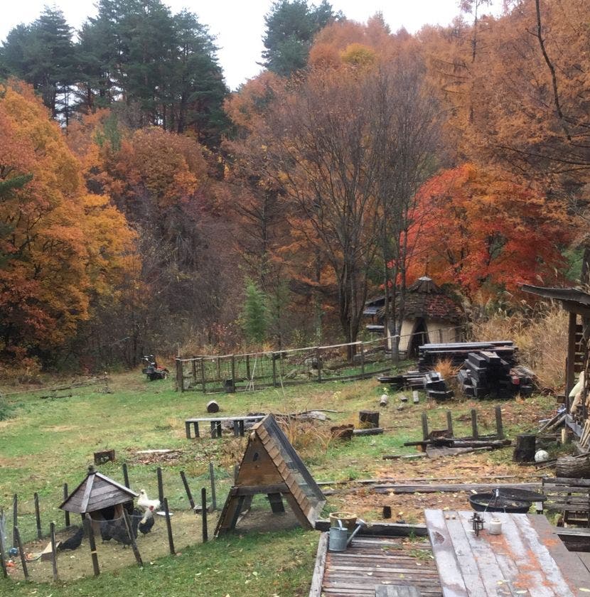 標高1,000メートル、森の中の小さな山小屋mokkiの写真9