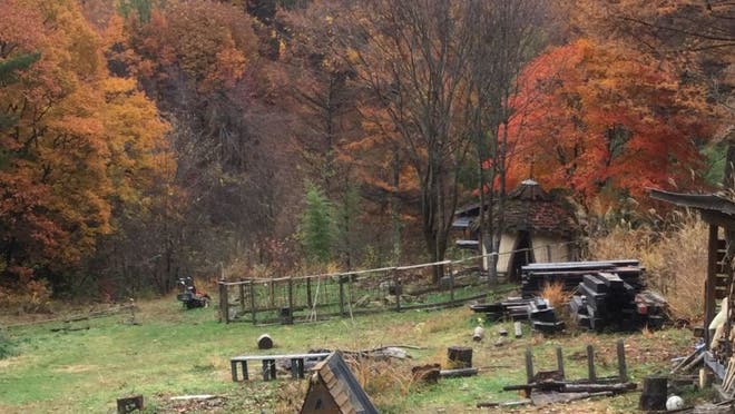 標高1,000メートル、森の中の小さな山小屋mokkiの写真9