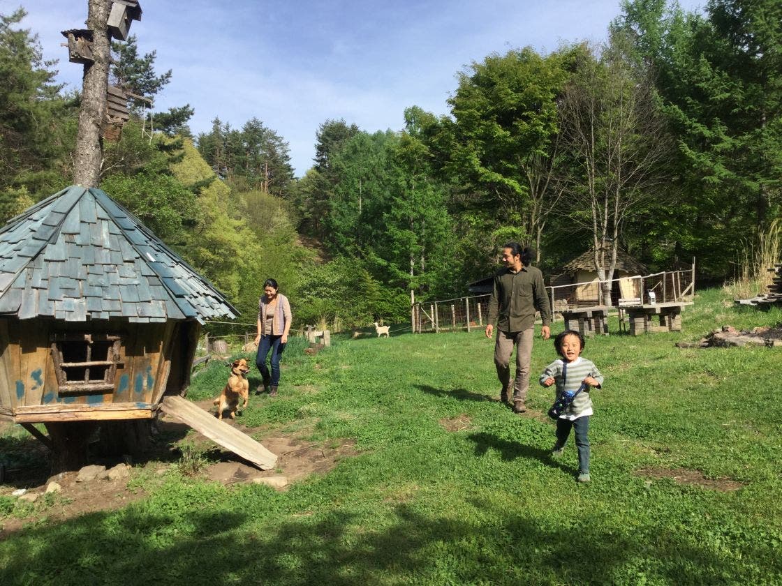 標高1,000メートル、森の中の小さな山小屋mokkiの写真5