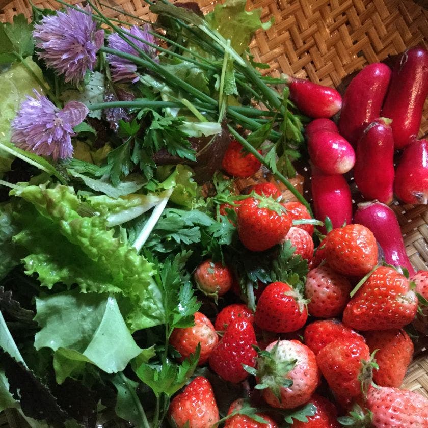 標高1,000メートル、森の中の小さな山小屋mokkiの写真6