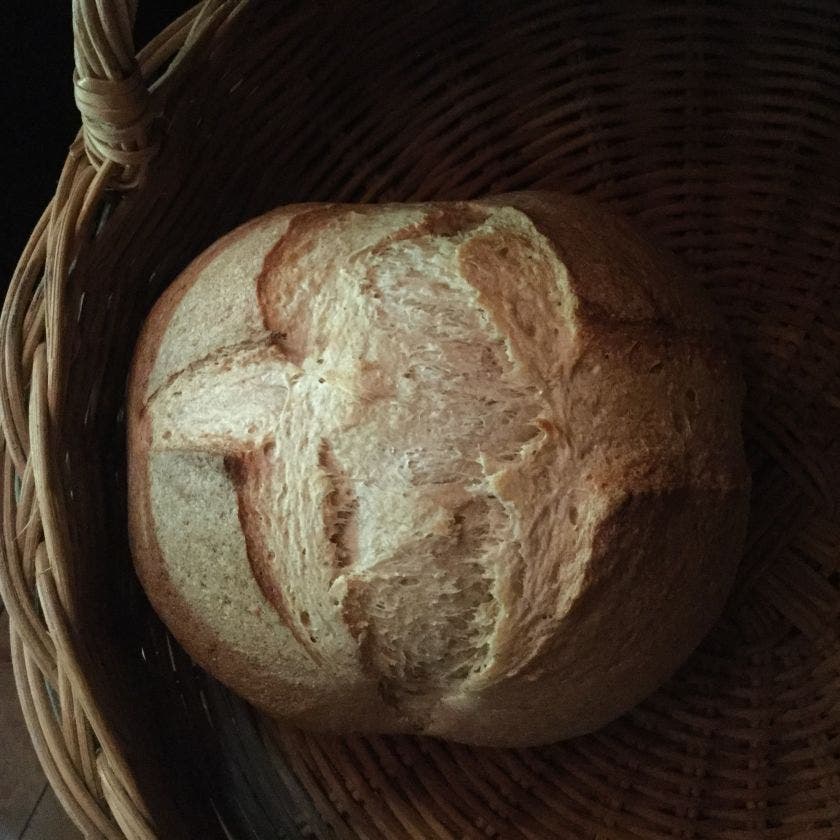 標高1,000メートル、森の中の小さな山小屋mokkiの写真7