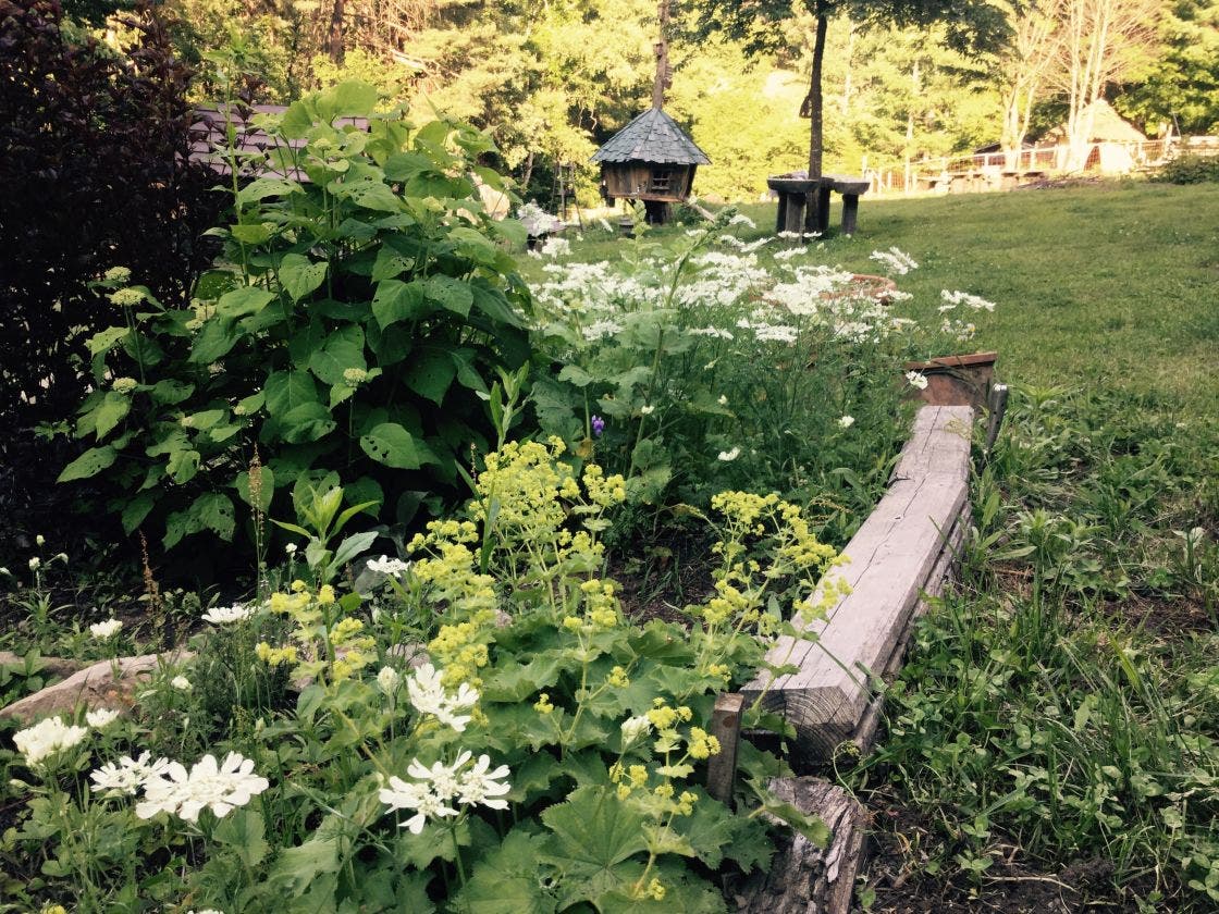 標高1,000メートル、森の中の小さな山小屋mokkiの写真8