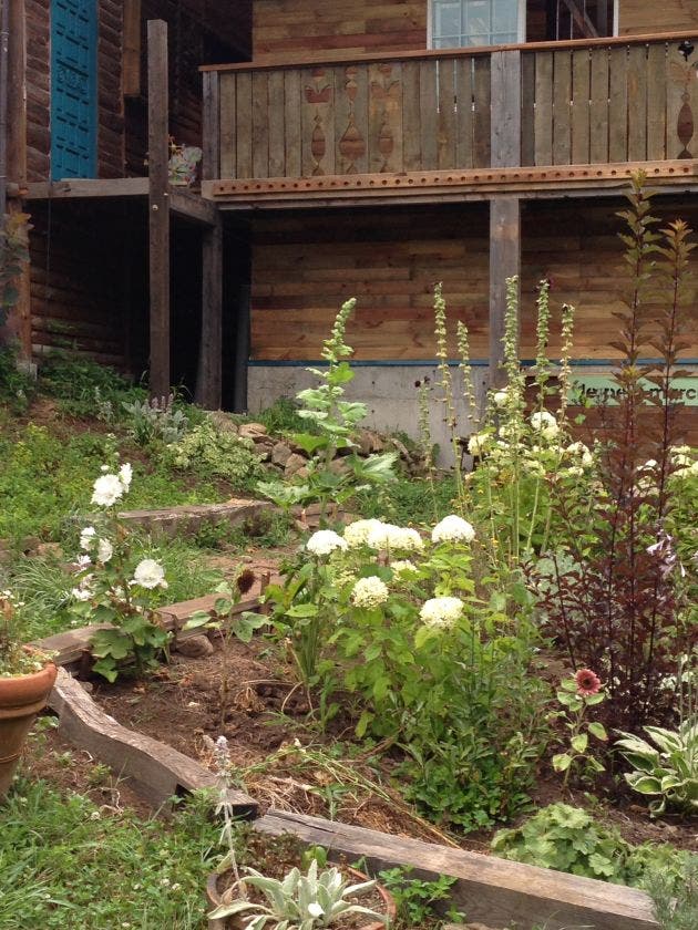 標高1,000メートル、森の中の小さな山小屋mokkiの写真14