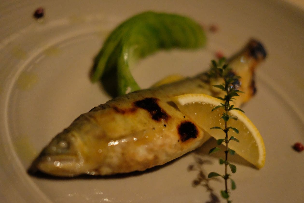 標高1,000メートル、森の中の小さな山小屋mokkiの写真19