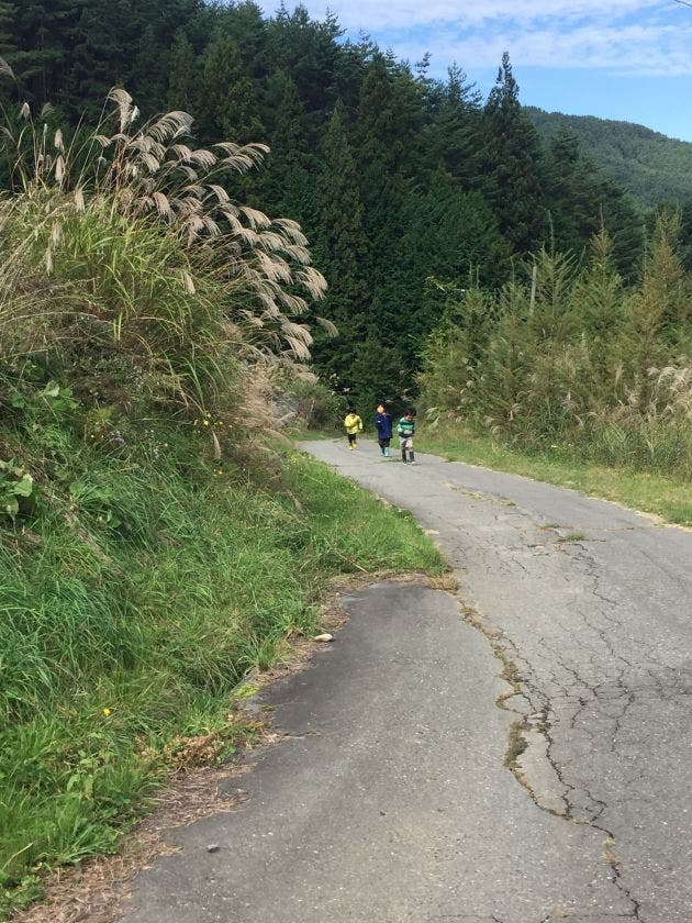 標高1,000メートル、森の中の小さな山小屋mokkiの写真18
