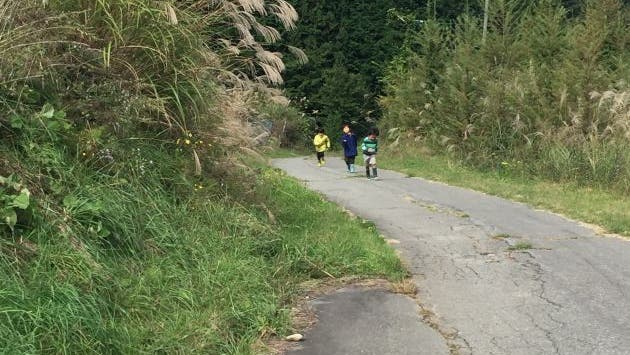 標高1,000メートル、森の中の小さな山小屋mokkiの写真18