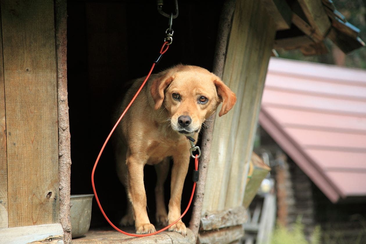 標高1,000メートル、森の中の小さな山小屋mokkiの写真27