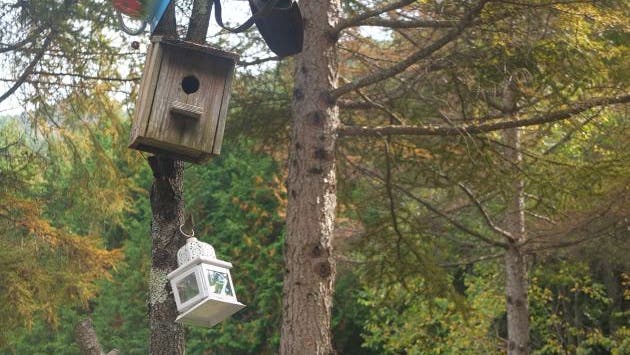 標高1,000メートル、森の中の小さな山小屋mokkiの写真31