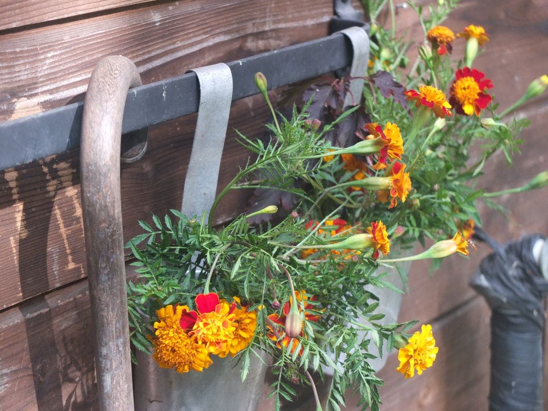 標高1,000メートル、森の中の小さな山小屋mokkiの写真34