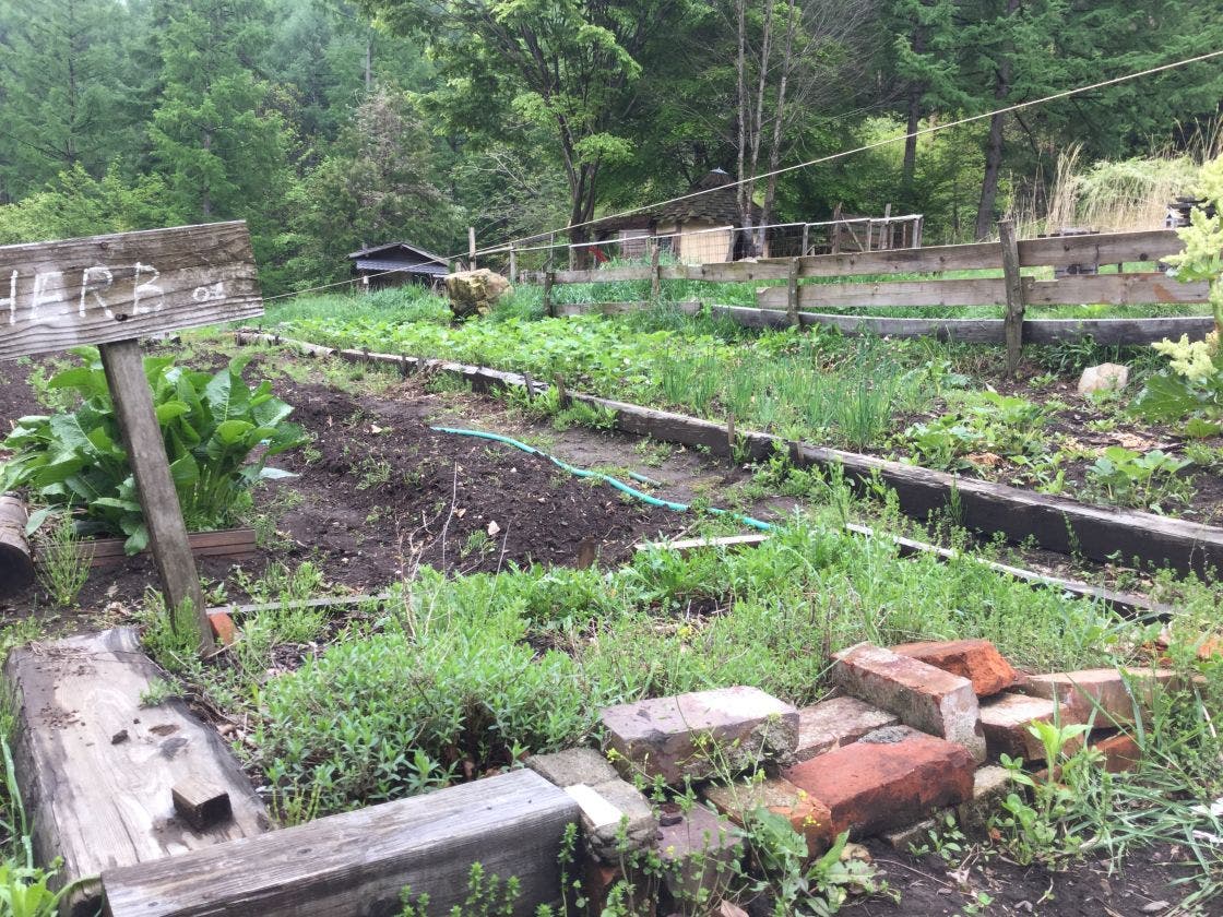 標高1,000メートル、森の中の小さな山小屋mokkiの写真39