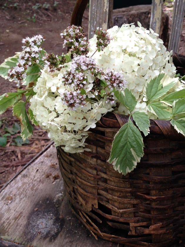 標高1,000メートル、森の中の小さな山小屋mokkiの写真40
