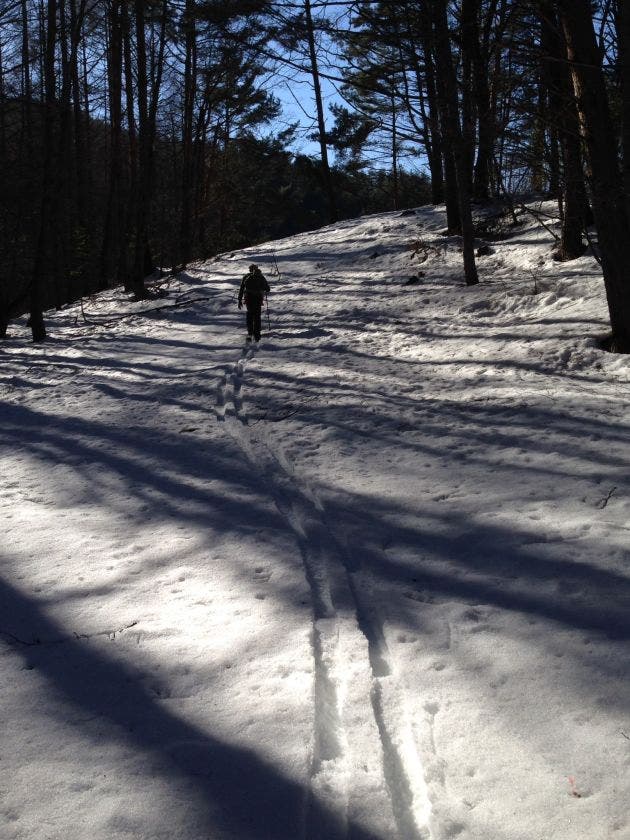 標高1,000メートル、森の中の小さな山小屋mokkiの写真44