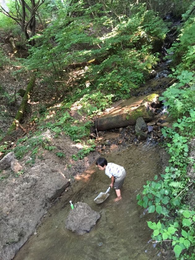 標高1,000メートル、森の中の小さな山小屋mokkiの写真48