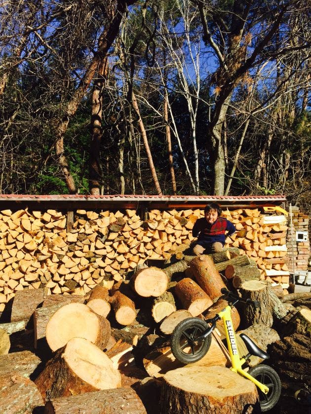 標高1,000メートル、森の中の小さな山小屋mokkiの写真49