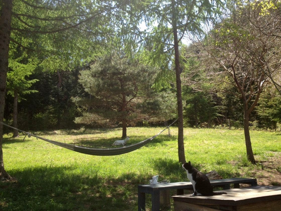 標高1,000メートル、森の中の小さな山小屋mokkiの写真57