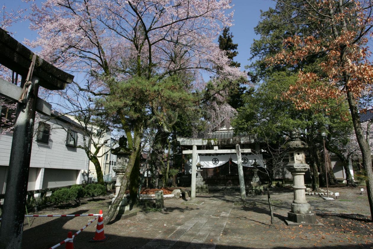 wi-fiあり飯田駅１分/裏山しいちゃん【２F】の写真17