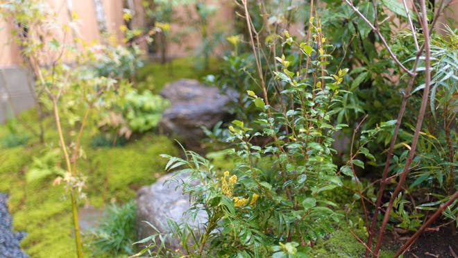 【福岡天神から約20分】無垢材を使ったモデルハウスを一棟貸切 撮影やパーティ、イベント利用にの写真4