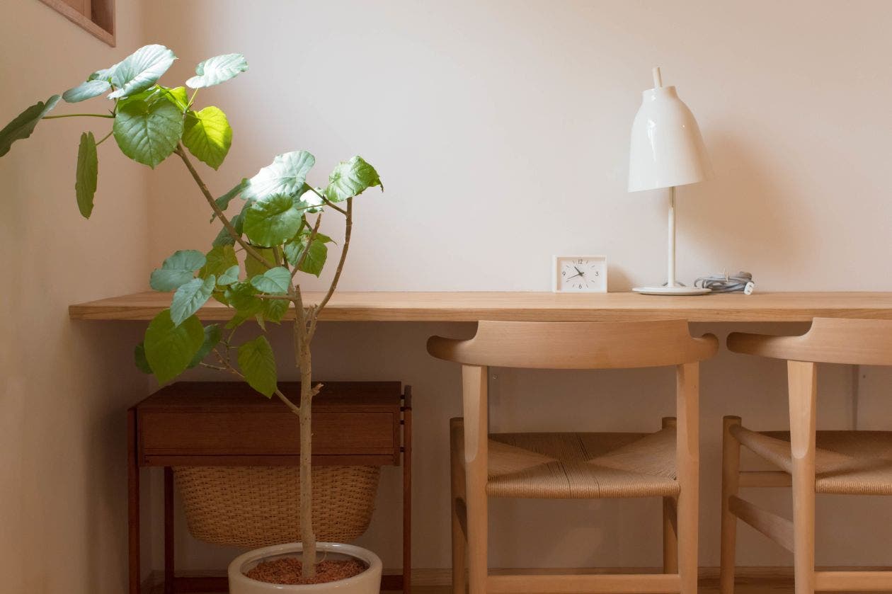 【福岡天神から約20分】無垢材を使ったモデルハウスを一棟貸切　撮影やパーティ、イベント利用にの写真5