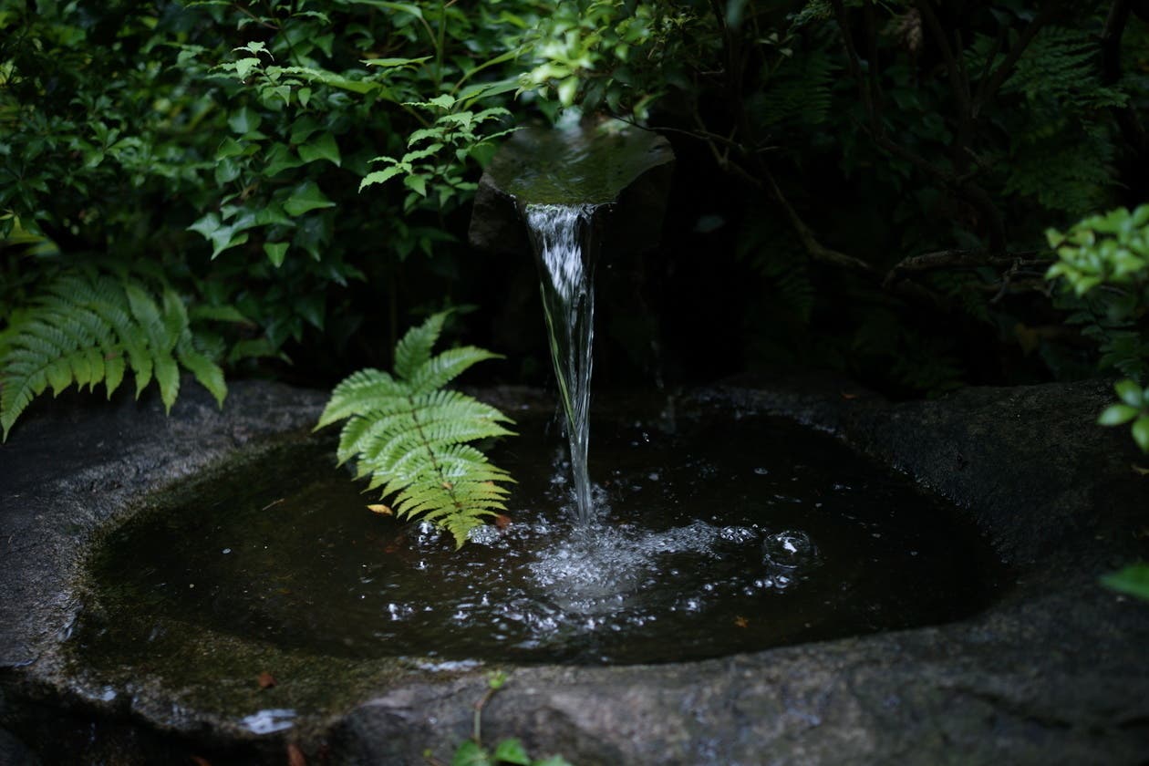 【横浜】「紫栄庵」本館の写真10
