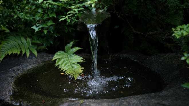 【横浜】「紫栄庵」本館の写真10