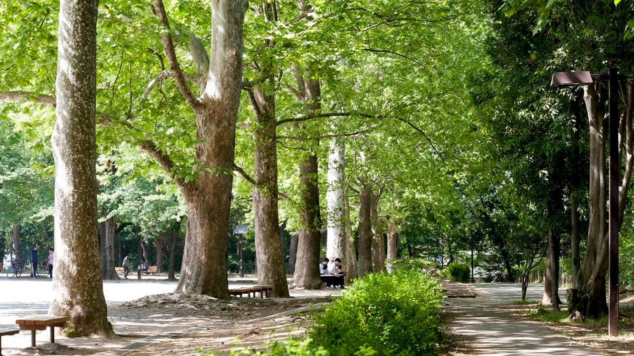 目黒 五反田 不動前 白ペンキ仕上げ  大判ペルシャ絨毯 格安プランあり　ハウススタジオの写真20