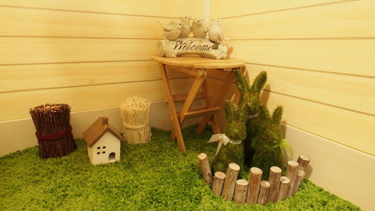 【ラピス】新宿徒歩1分 個室 格安会議室 WiFi プロジェクター無料 C Web会議・テレワークにの写真13