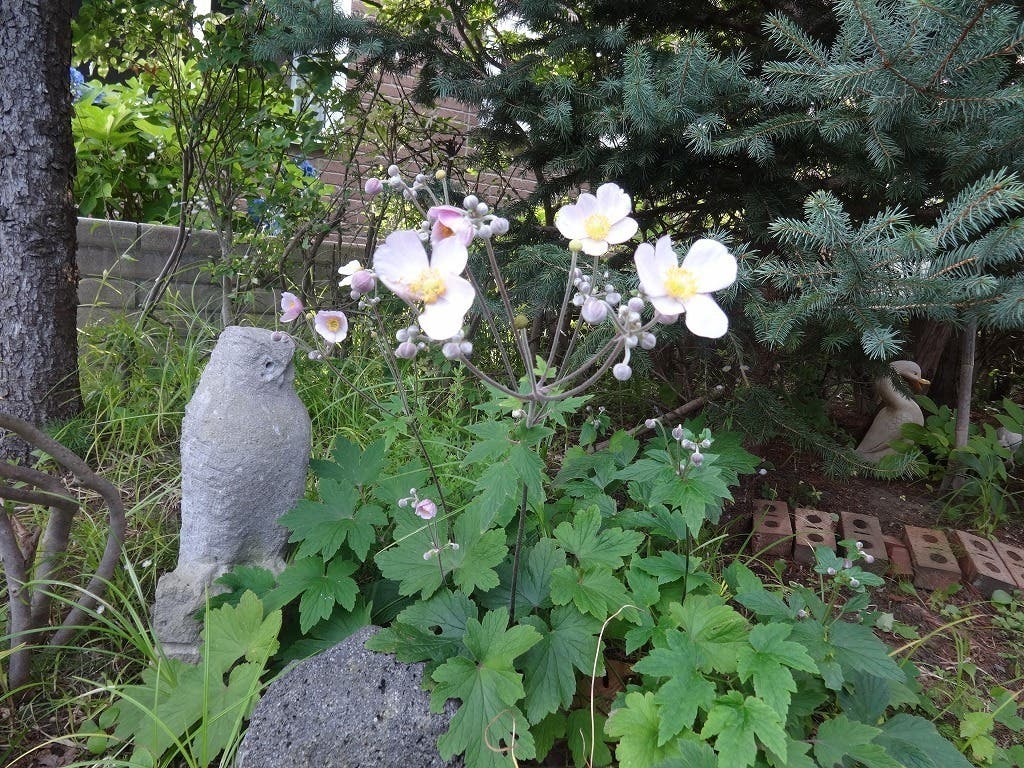 キッチン付きレンタルスペース。GALLERYスペースをパーティー・会議・各種レッスンルームなど多目的に使えます。の写真11