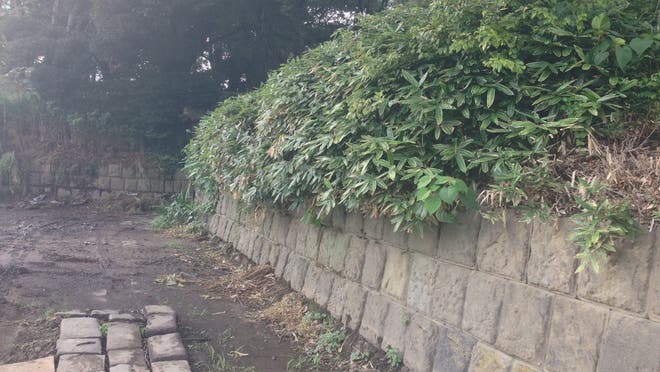 Art Village SATTE の写真13