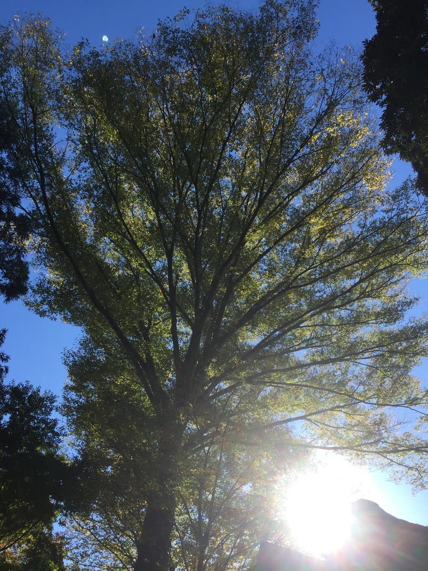  Art Village SATTE の写真17