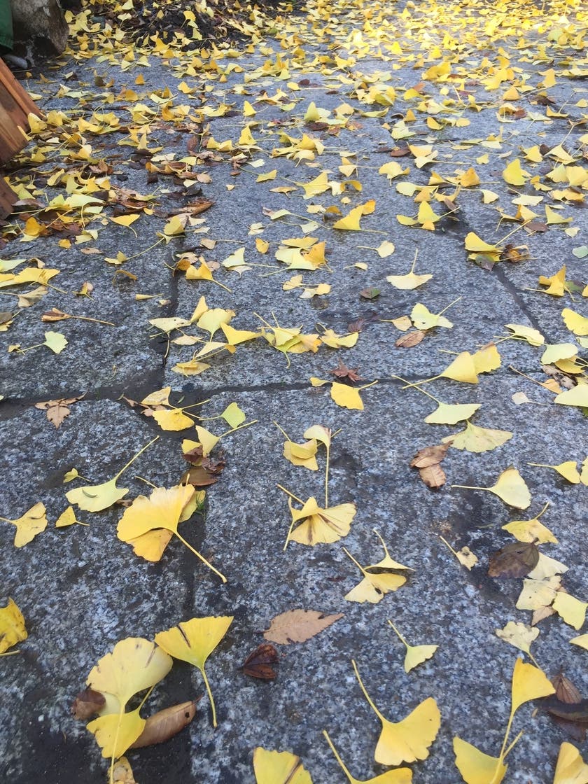  Art Village SATTE の写真20