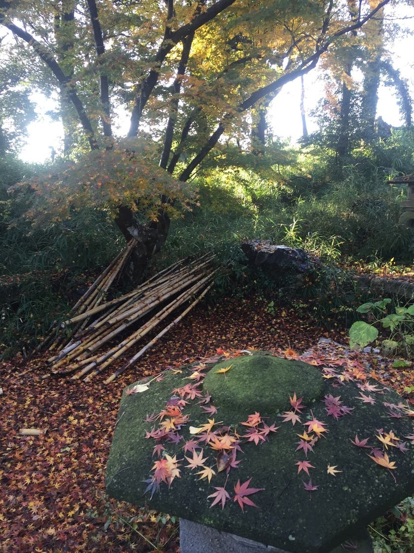  Art Village SATTE の写真21