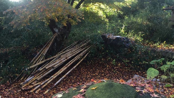 Art Village SATTE の写真21