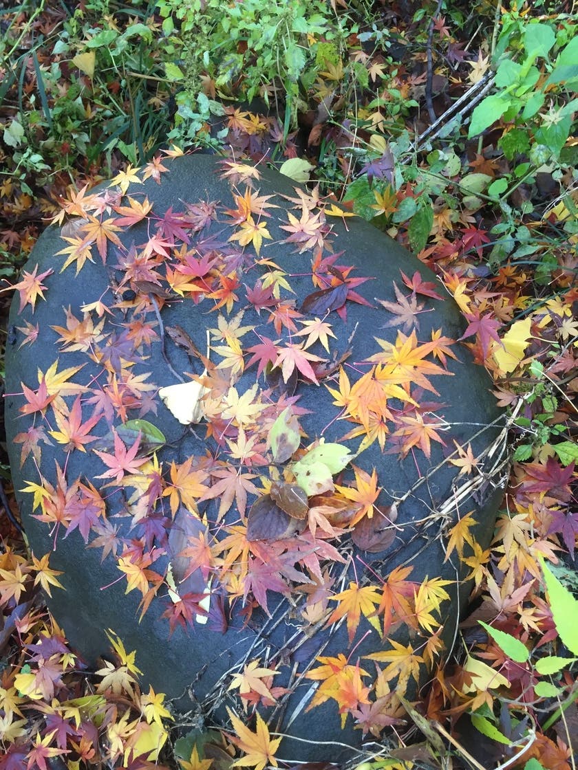  Art Village SATTE の写真22