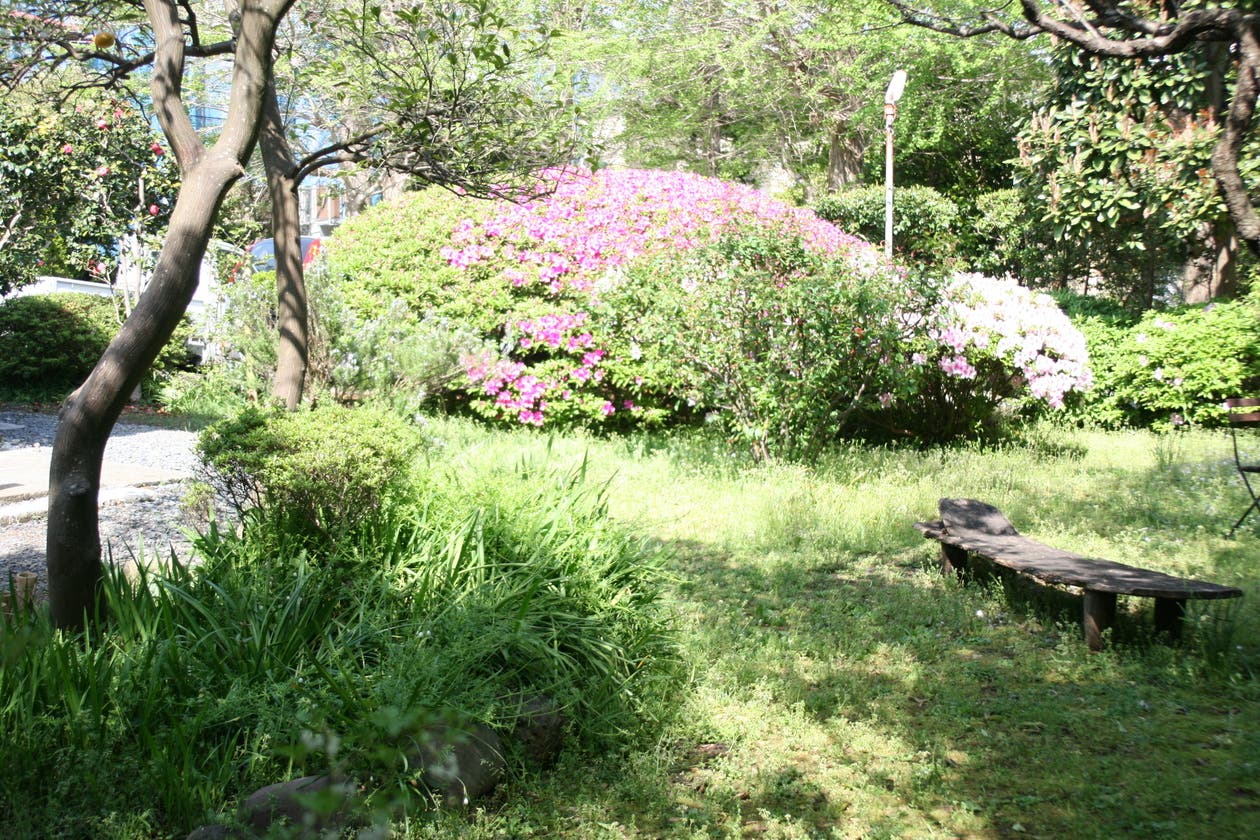 江ノ電由比ヶ浜駅徒歩３分【古民家カルチャーハウス 蕾の家】お庭のある古民家、海まで徒歩7分の写真6