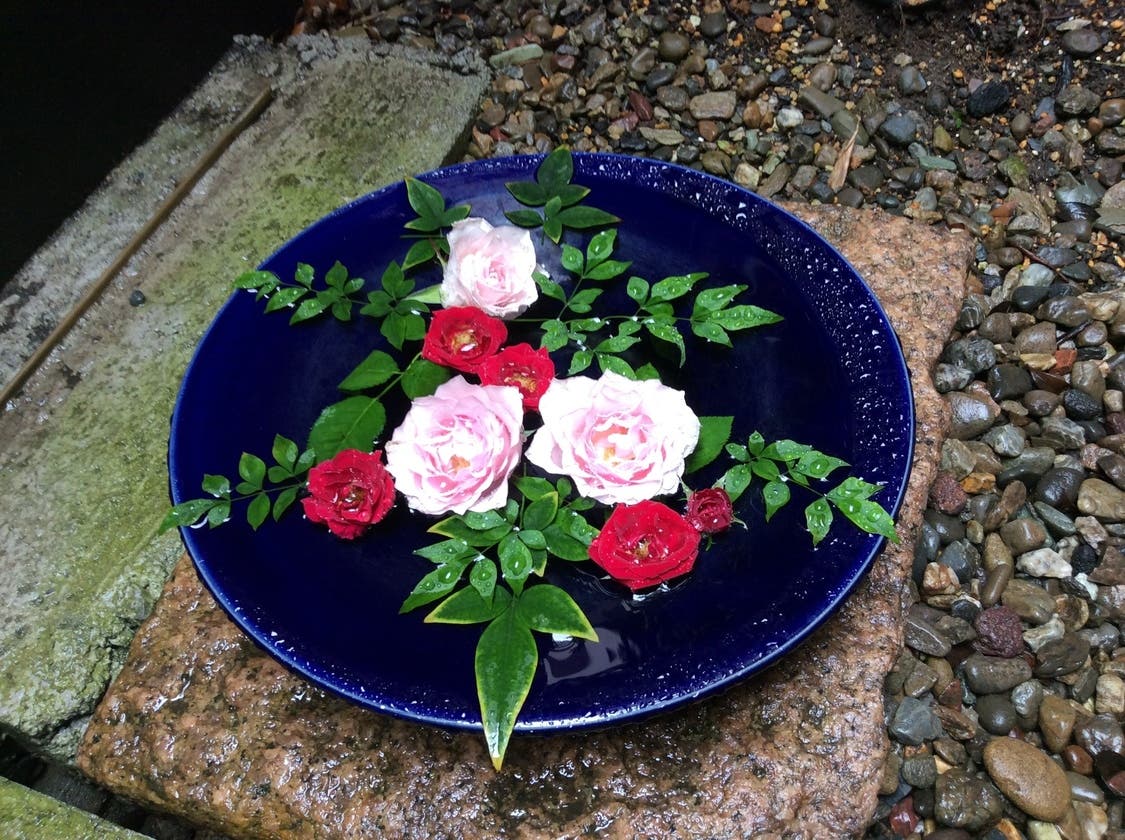 季節を感じる 小石川大正住宅【文京区 春日駅徒歩3分、東京ドームにも近い】の写真25