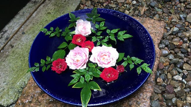 季節を感じる 小石川大正住宅【文京区 春日駅徒歩3分、東京ドームにも近い】の写真25